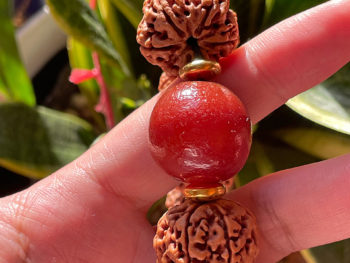 Hand Held Mala, The Ronin Mala. 23mm 6 Faced Rudraksha, Red Agate, OX ...